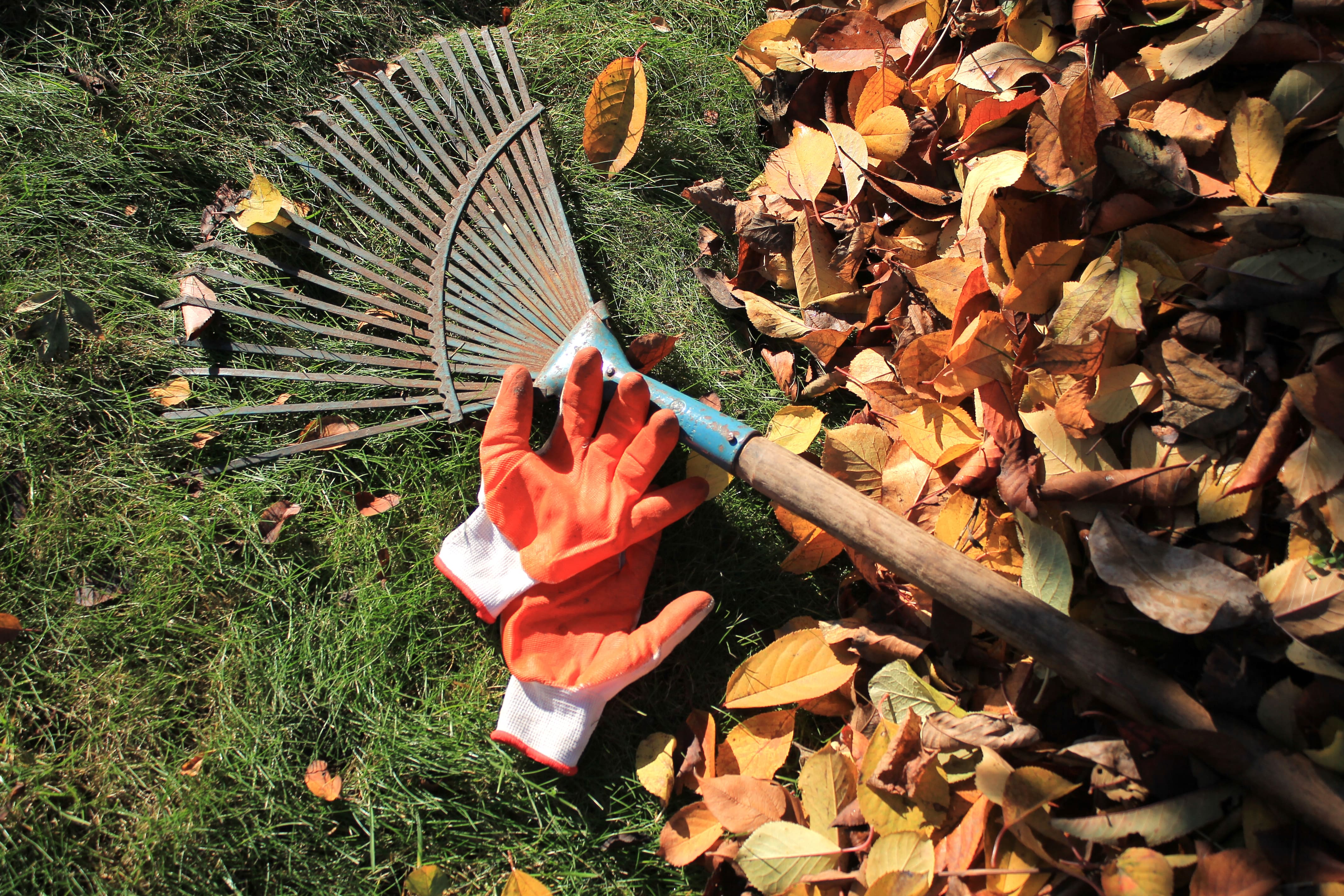 Fall Facility Maintenance: Things to Keep in Mind